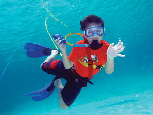 What is SNUBA? – Snuba.com Blog